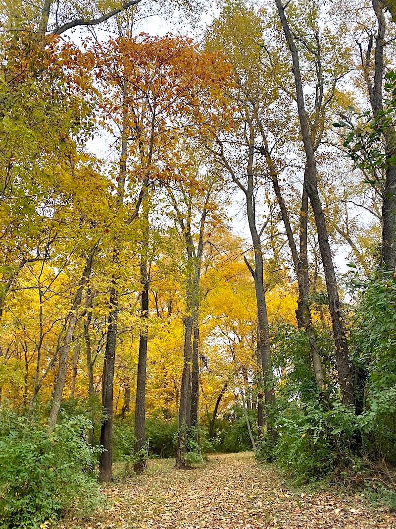 Belleville: Bicentennial Park Walk - thatawaydad.com