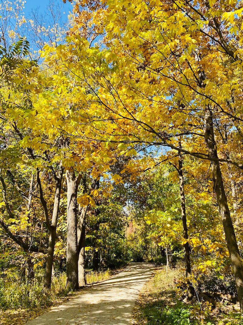 Take a Six Mile Hike in Forest Park - thatawaydad.com
