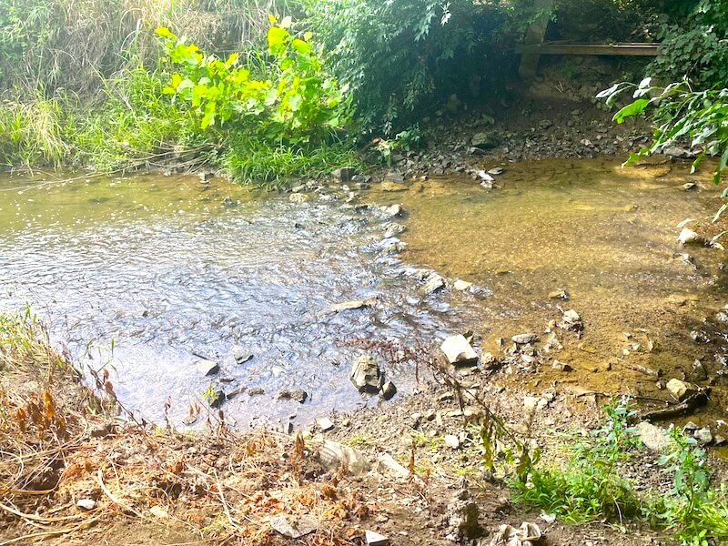 Meramec Greenway: Flat Creek Trail Hike - thatawaydad.com