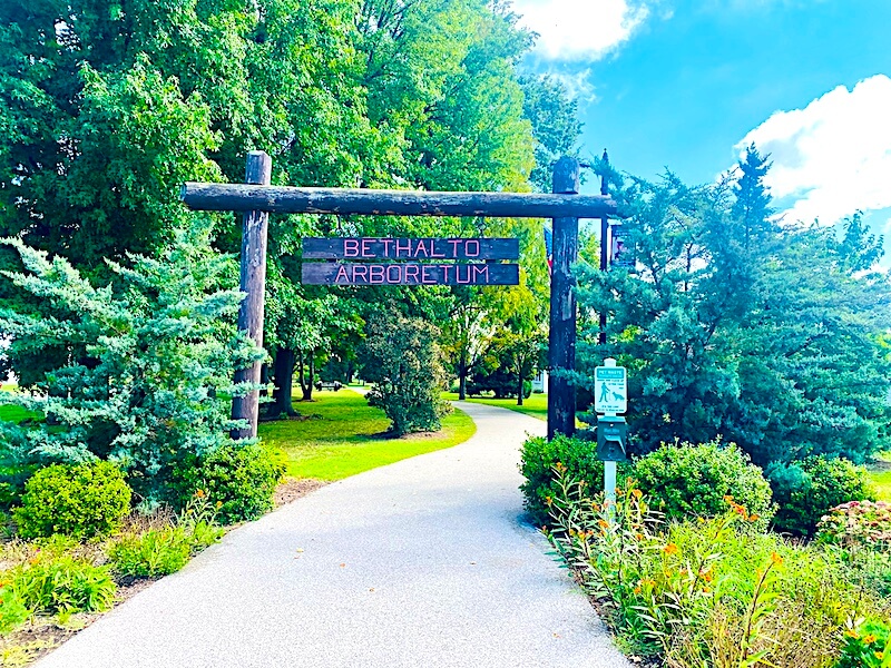 Take a Walk Through the Trees at Bethalto Arboretum - thatawaydad.com