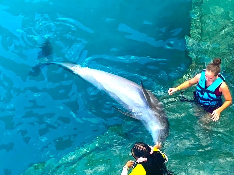 Dolphin Encounter at Dolphinaris in Cozumel - thatawaydad.com
