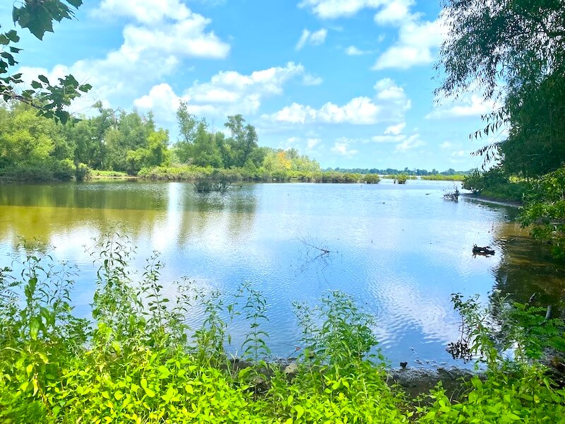 Explore Mallard Lake Loop: Waterfalls and Lakeside Views - thatawaydad.com